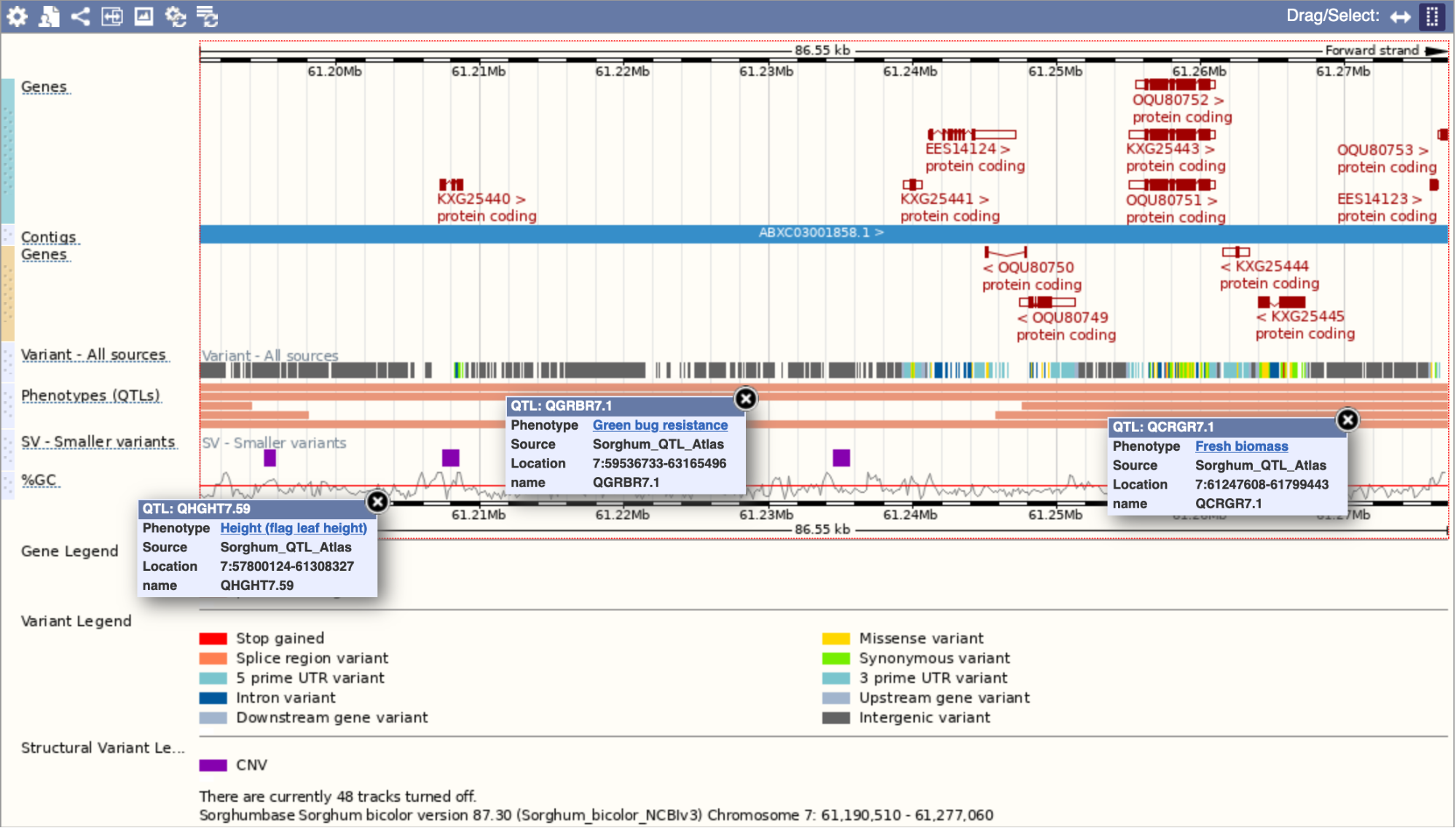 SorghumBase Post - The Sorghum QTL Atlas: A powerful tool for trait ...