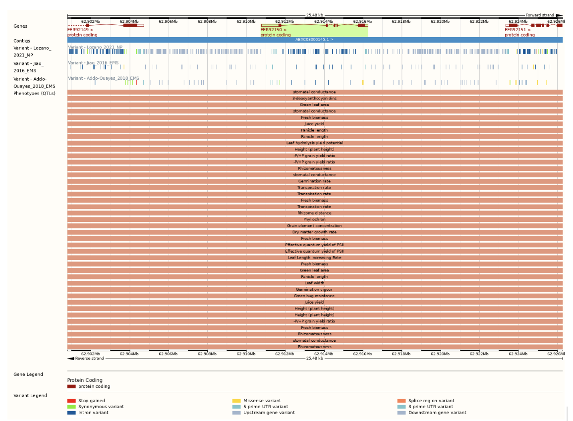 SorghumBase Post - Sorghum GC1 Encodes an Atypical Gγ-like Subunit that ...