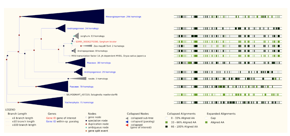 SorghumBase Post - Growth and Salt Tolerance Negatively correlated with Expression of ...