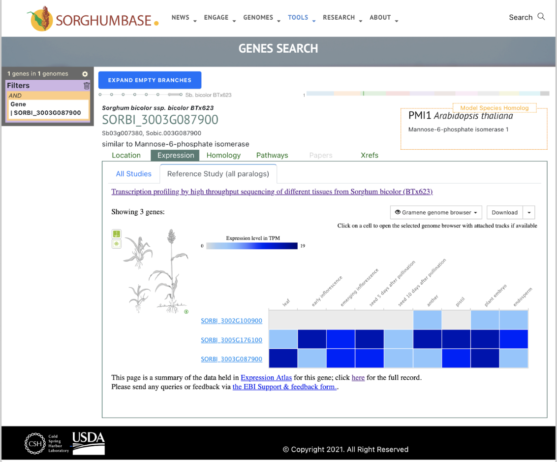 SorghumBase Post - The Power of Single-Cell and Single-Nuclei Based Pan ...