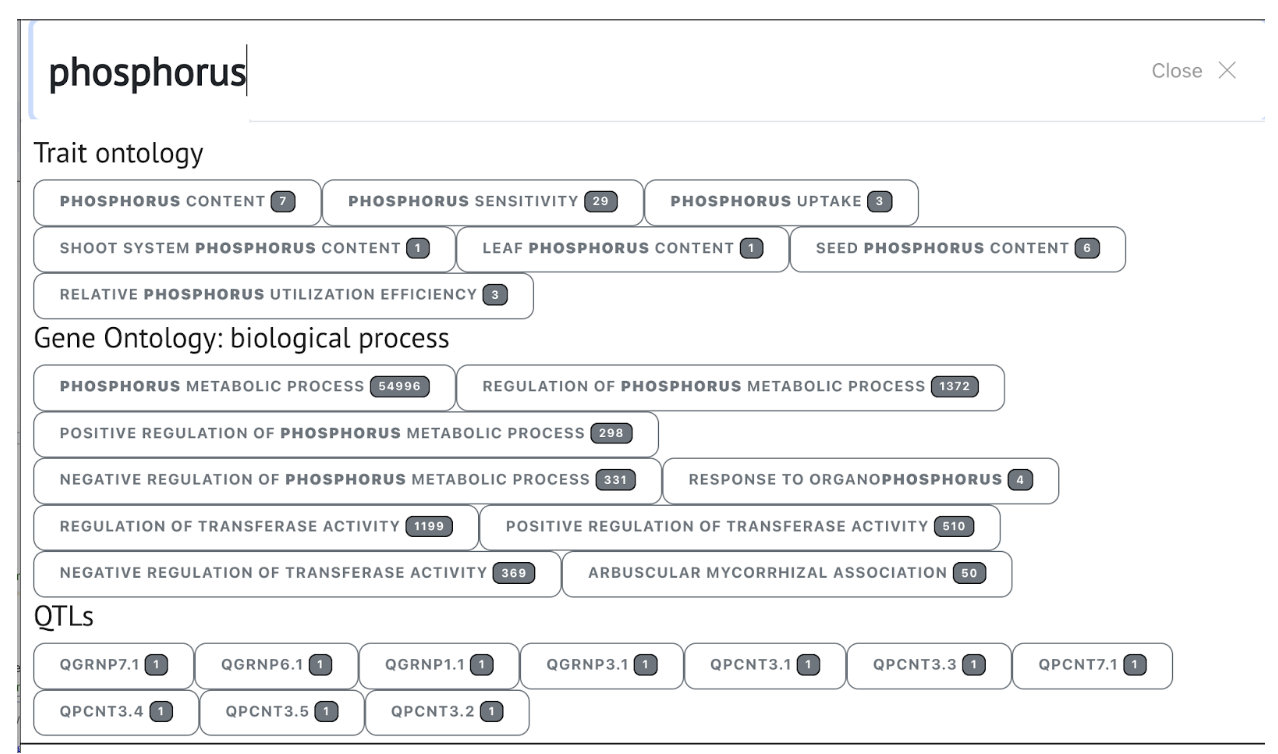 SorghumBase Post - Unlocking the Potential of Sorghum in Africa: Insights from Phosphorus ...