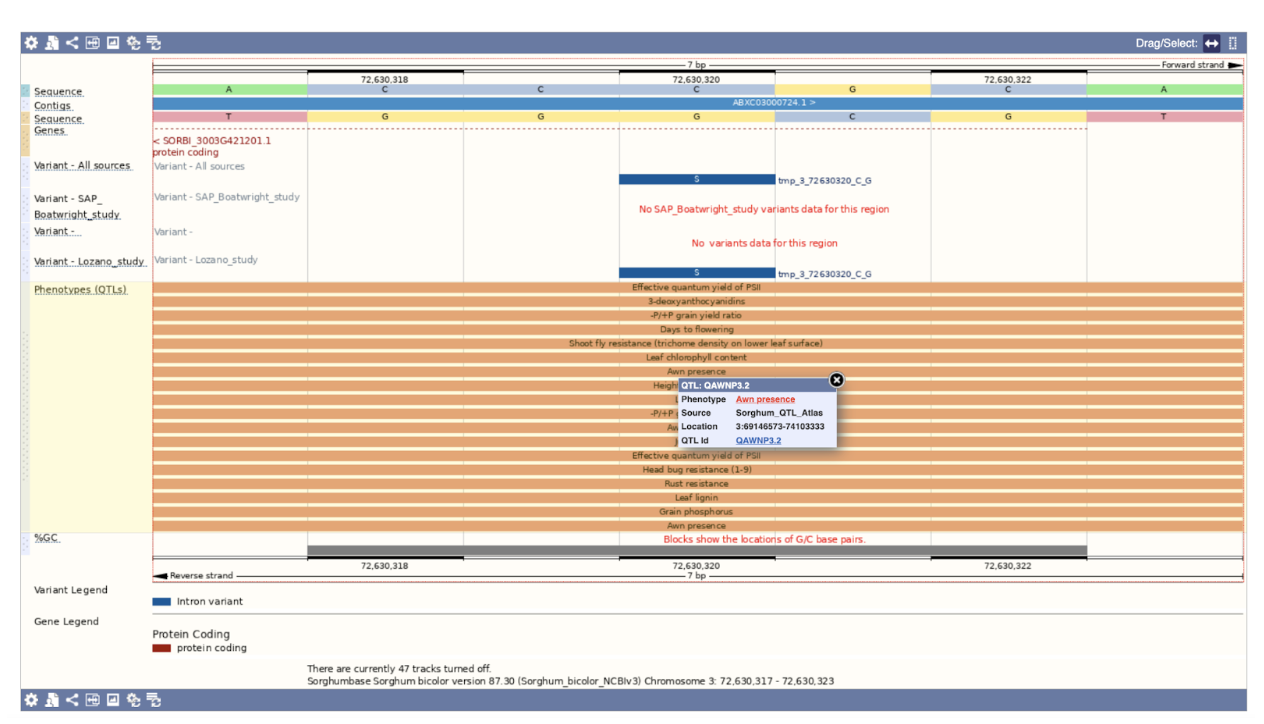SorghumBase Post - A MAGIC Diversity Panel for Cytoplasmic Male ...